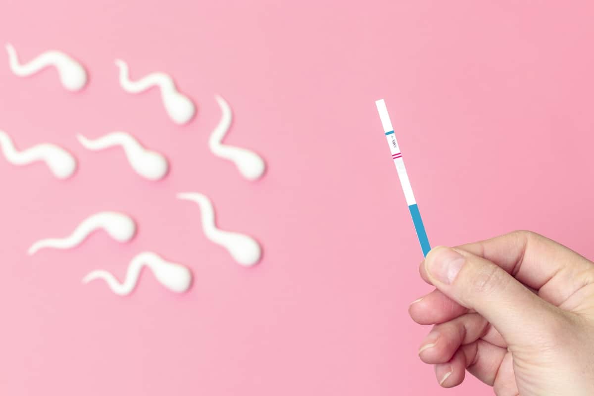 Πότε έγινε η σύλληψη του εμβρύου; - MyPregnancy.gr